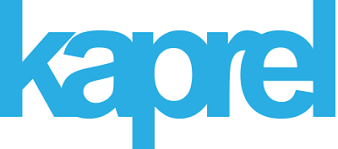 Kaprel Partitions: Premium Glazed Partitioning Systems in UAE